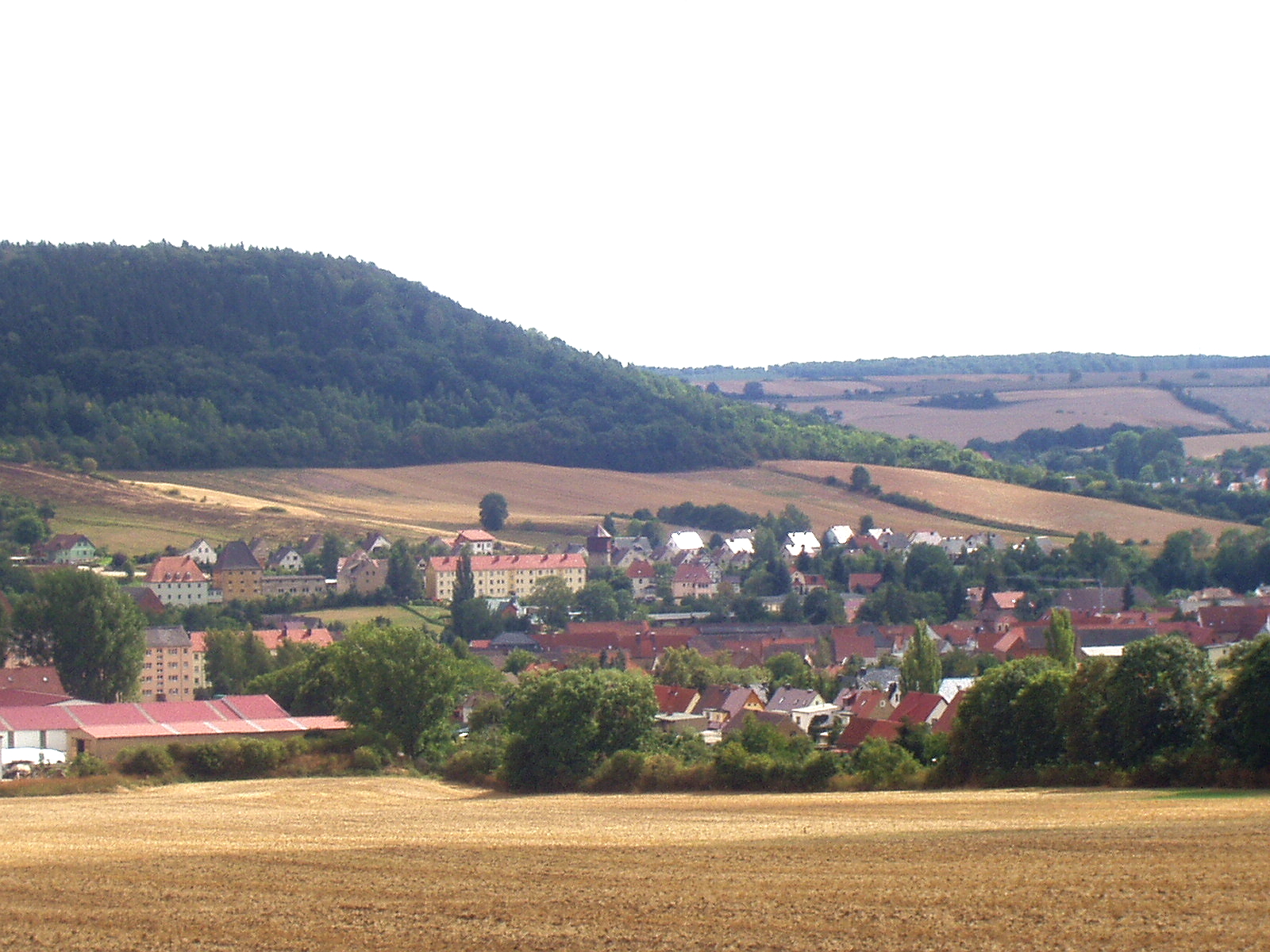 Willkommen - Meine Heimatstadt Bad Bibra